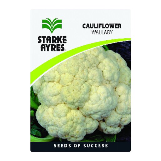 Starke Ayres Cauliflower Seed 15g | PnP