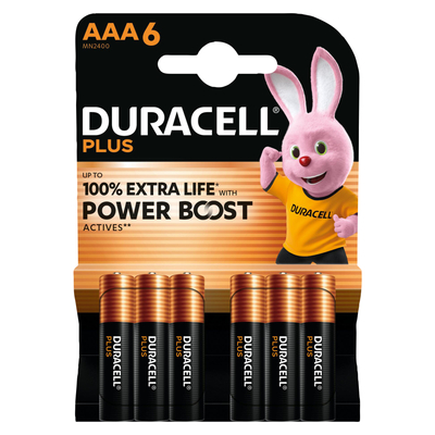 Duracell Plus AAA Batteries 12 Pack | PnP