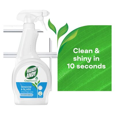 Handy Andy Window & Glass Cleaner Spray 500ml | Smart Price Specials ...