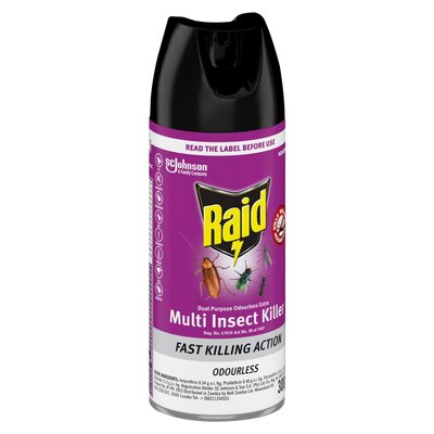 Raid Dual Purpose Odourless 300ml | PnP