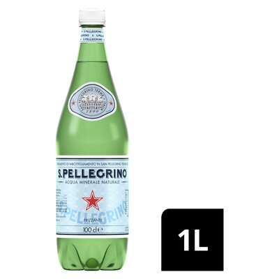 San Pellegrino Sparkling Water Pet 500ml | PnP