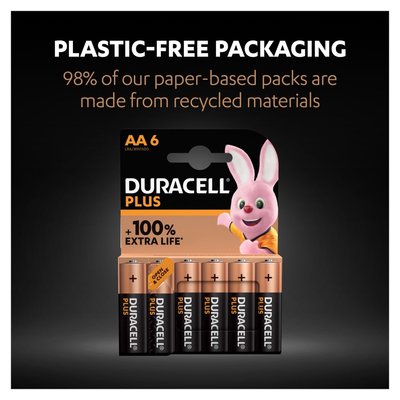 Duracell Plus AA Batteries 6 Pack | PnP