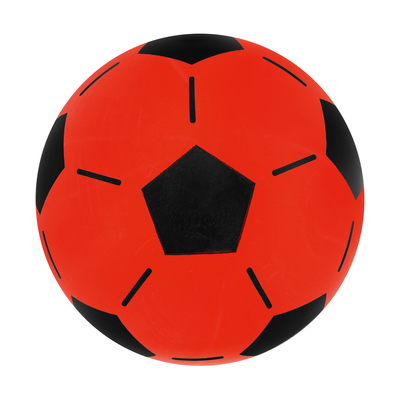 Joyco Plastic Ball 22cm | Smart Price Specials | PnP Home