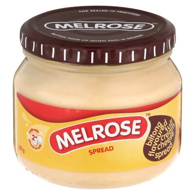 Melrose Biltong Cheese Spread 250g | Smart Price Specials | PnP Home