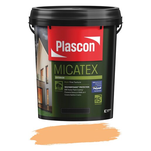 Plascon Micatex Lion's Den Exterior Fine Textured Matt Paint 20L | PnP