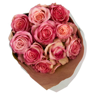 PnP Blush Roses 50cm | PnP