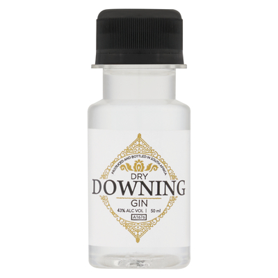 Downing Dry Gin 50ml | PnP