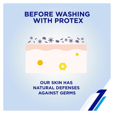 Protex Fresh Antigerm Liquid Hand Soap 300ml | PnP