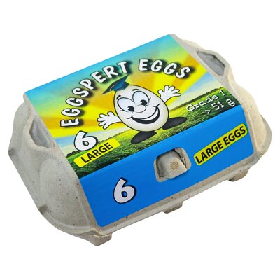Eggspert Large Eggs 6 Pack | PnP