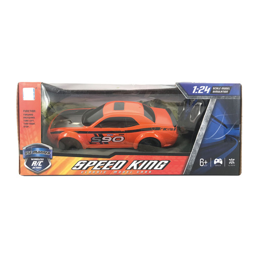 SKYLINK 1 24 DODGE R/C CAR | PnP