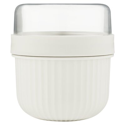 Home Large Yoghurt Container 450ml | PnP