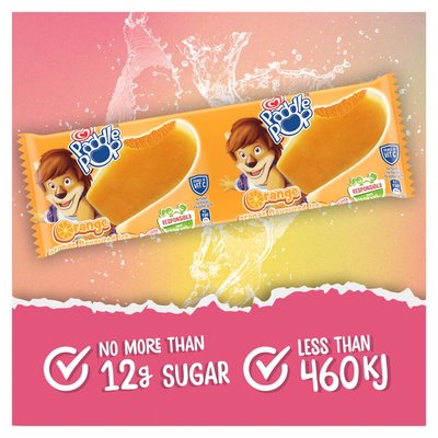 Ola Paddlepop Orange Ice Cream 60ml | PnP