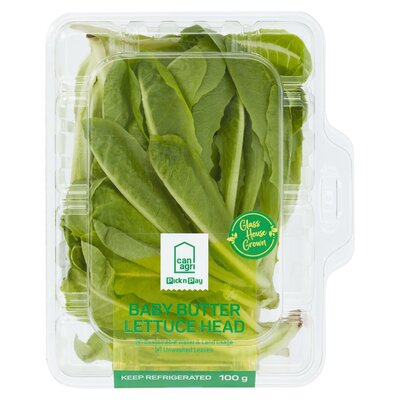 PnP Baby Butter Lettuce Head | PnP