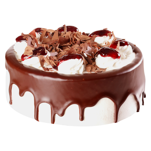 PnP 2 Layer Assorted Gateaux Cake | PnP