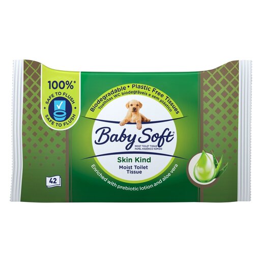 Baby Soft Moist Toilet Tissue 42 Pack Skin Kind | PnP