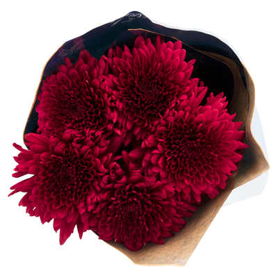 PnP Tempo Bouquet | PnP