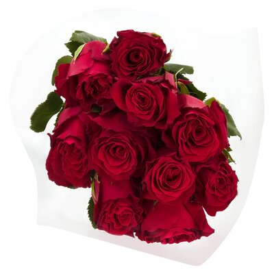 PnP 50cm Mix Roses | PnP