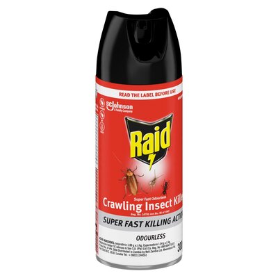 Raid Superfast Odourless Insecticide 300ml | PnP