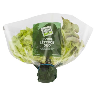 PnP Duo Living Lettuce | PnP