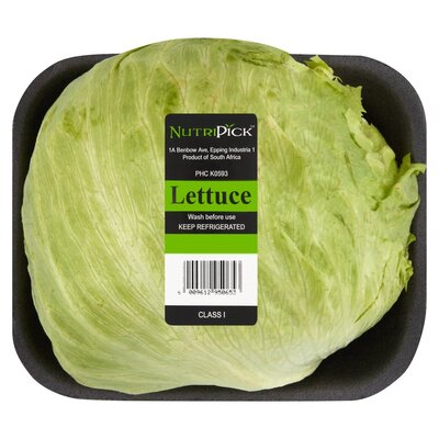 Lettuce Head | PnP