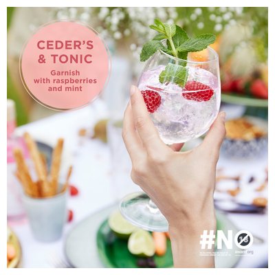 Ceder's Pink Rose Non-Alcoholic Gin 500ml | PnP