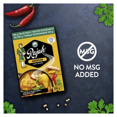 Robertsons Rajah Medium Curry Powder 350g | PnP