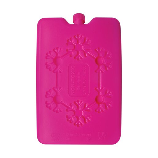 Leisure-quip 200ml Flat Ice Brick x 48 | PnP