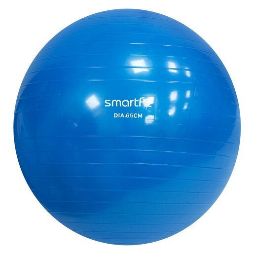 Smartfit Body Ball 55cm | PnP