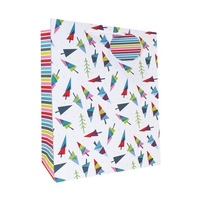 Creative Assorted Large Gift Bag | PnP