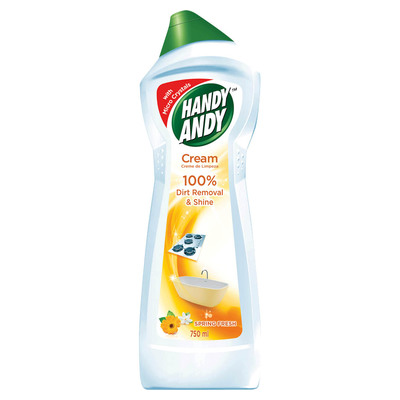 Handy Andy Cleaning Cream Spring Fresh 750ml | PnP