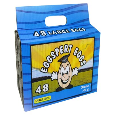 Eggspert Large Eggs 48 Pack | PnP