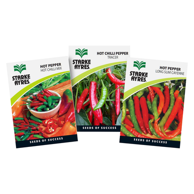 Starke Ayres Bean Seed 15g | Smart Price Specials | PnP Home