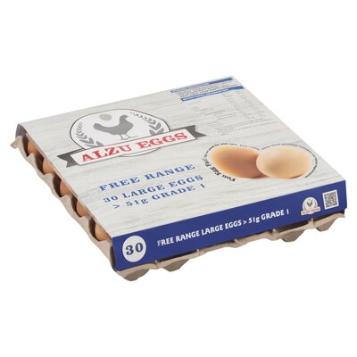 Alzu Eggs Free Range Large 30s | PnP