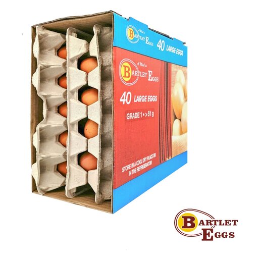 Bartlet Large Eggs 40 Pack | PnP