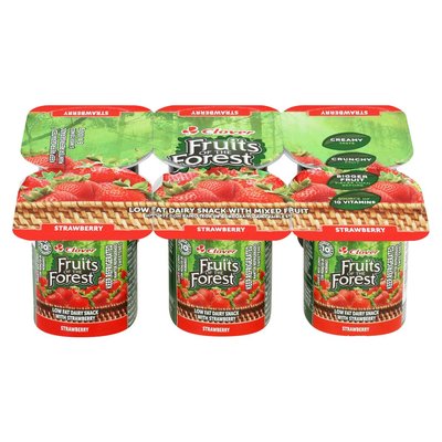 Clover Fruits of the Forest Strawberry Dairy Snack 6 x 100g | PnP