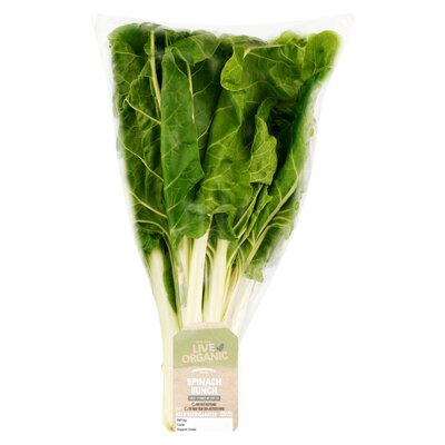 PnP Green Tea 20 Pack | PnP