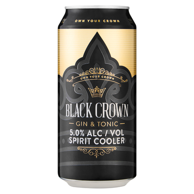 Tipo Tinto R&R Can 24 x 440ml | PnP