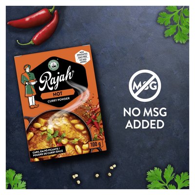 Robertsons Rajah Hot Curry Powder 100g | PnP