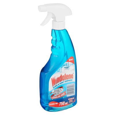 Windolene Window Cleaner Trigger 750ml | PnP