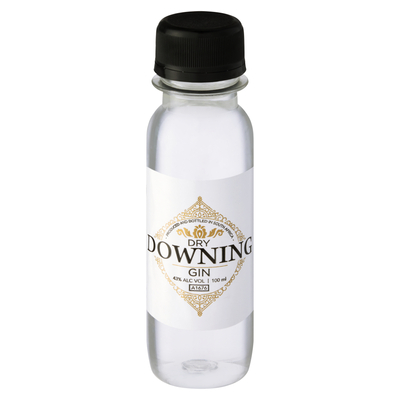 Downing Dry Gin 100ml | PnP
