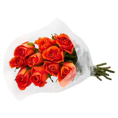 PnP Mix Roses 50cm | PnP