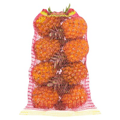 Virobag PnP Cooler Bag Large | PnP