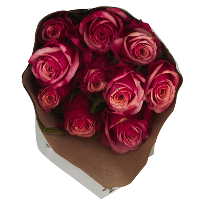 PnP Blush Roses 50cm | PnP