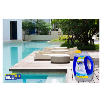 BLU52 Active Algaecide 2L | PnP