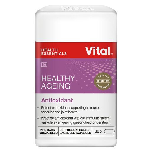 Vital Anti Ageing Capsules 30s | PnP