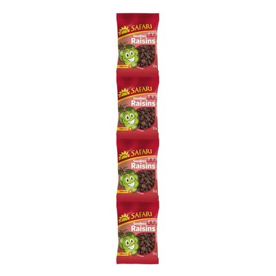 Safari Jungle Bites Dried Fruit Flakes 4 x 32g | PnP