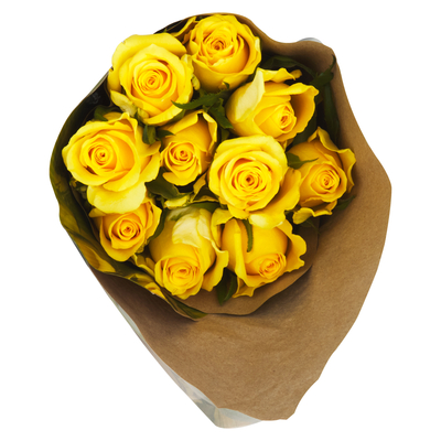 PnP Glow Roses 50cm | PnP