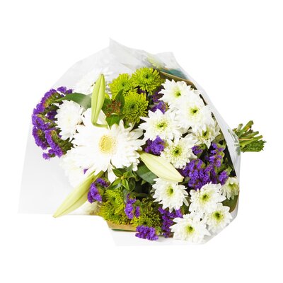 PnP Melody Bouquet | PnP