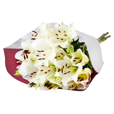 PnP Tempo Bouquet | PnP