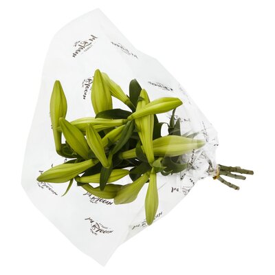 PnP Assorted Lily 1 Piece | PnP